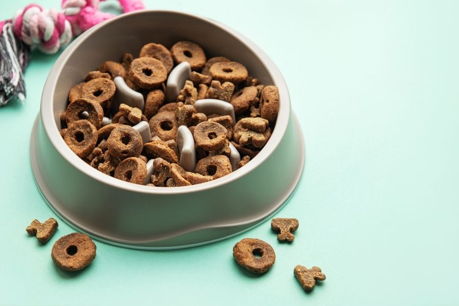 Best Vet-Recommended Dog Food for Allergies in 2026